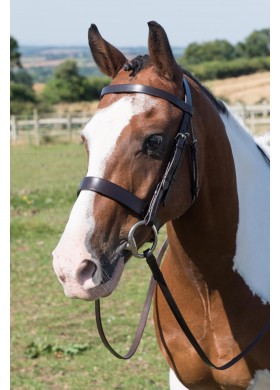 English Pony Bridles