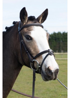 English Pony Bridles